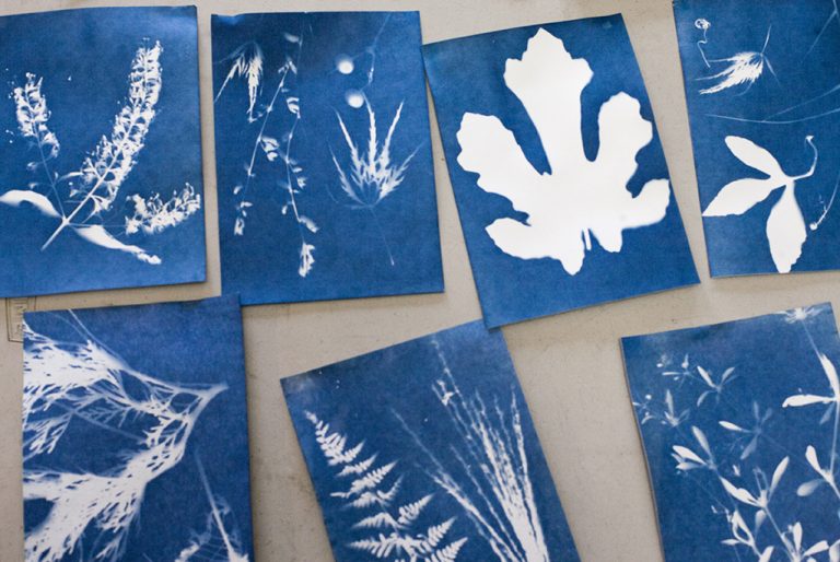 World Cyanotype Day » Cherry Street Pier